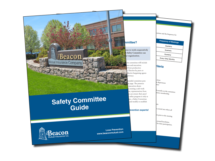The Power of the Safety Committee